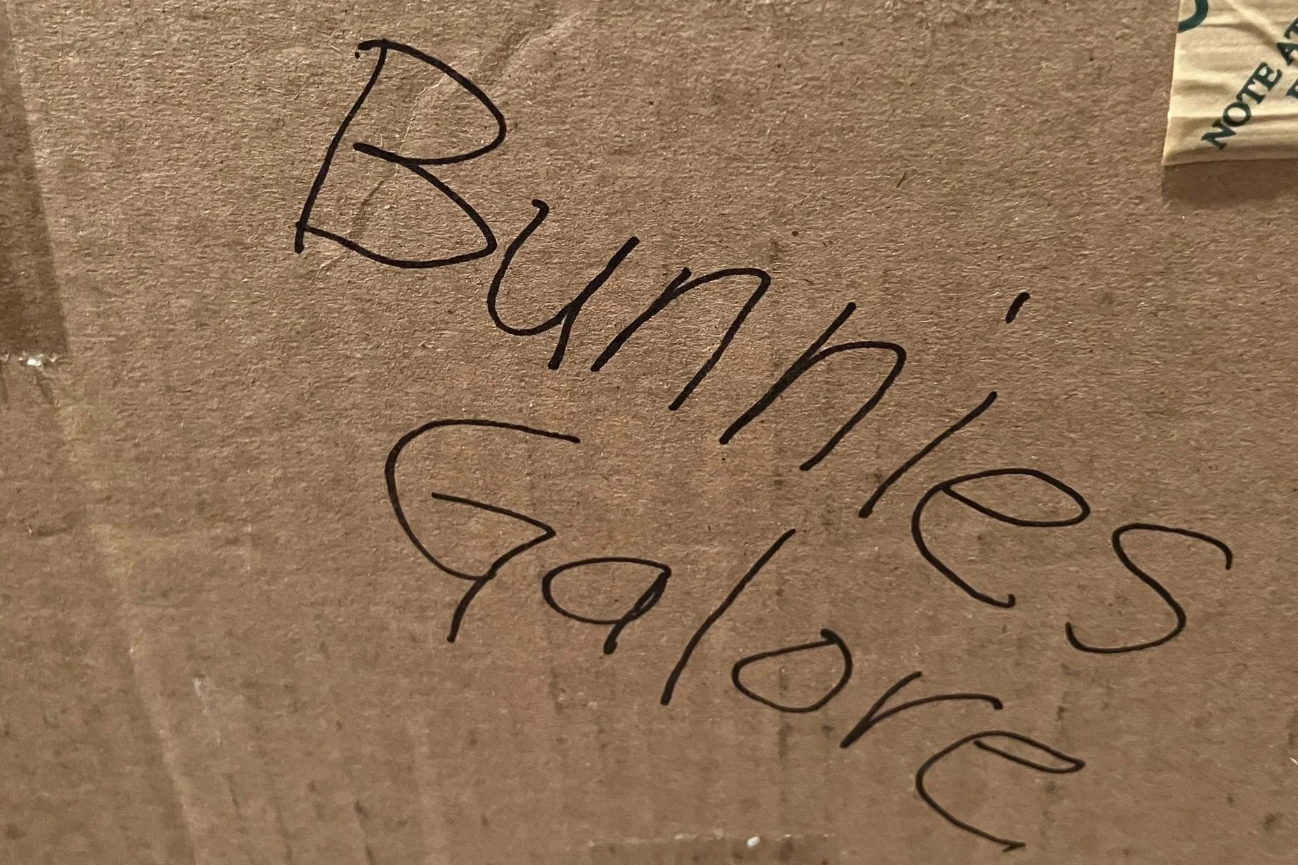 Are you a Collector? — Words, Wisdom & Whimsy