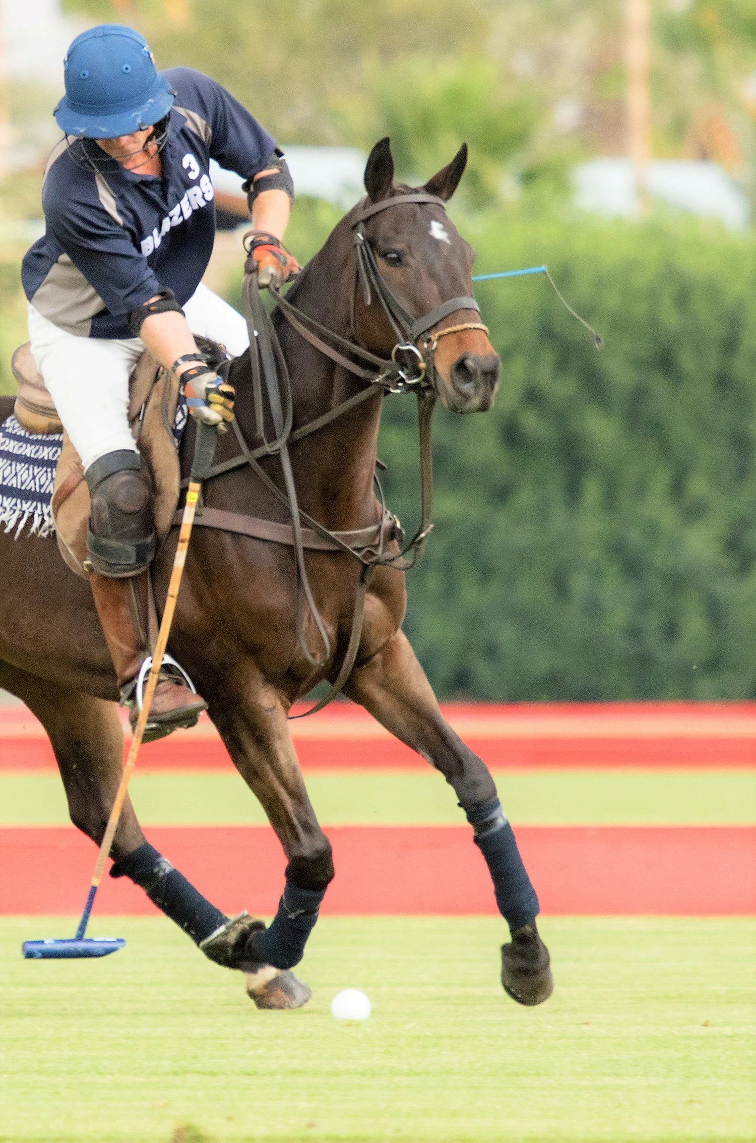 Eldorado — Polo Academy West