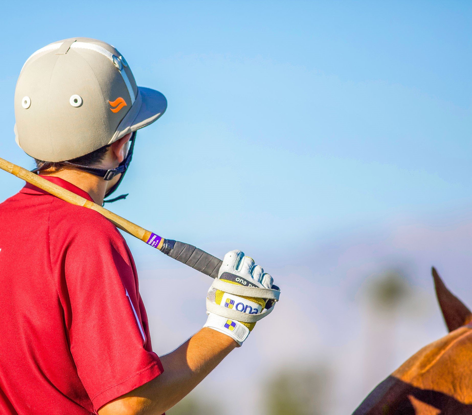 Eldorado — Polo Academy West