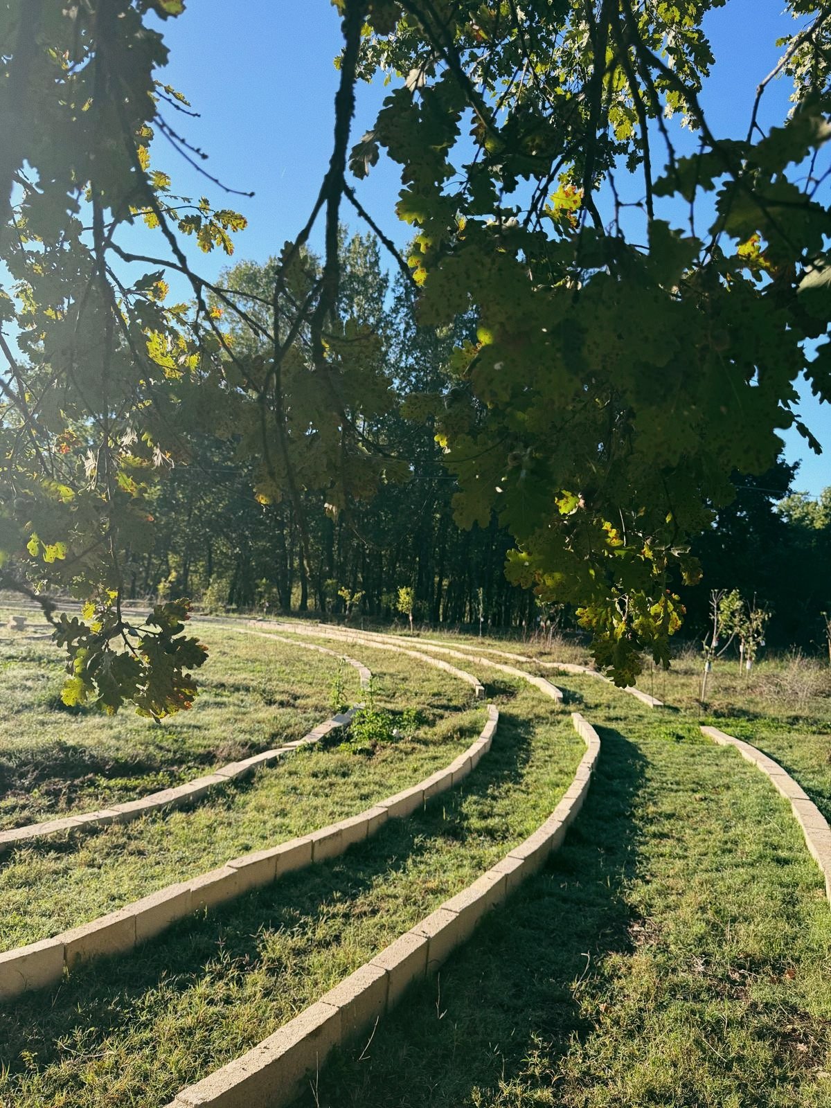 Dr. Nida Chenagtsang's Tanaduk Garden at Yuthok Ling in Arce, Italy