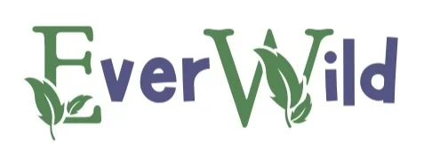 Book a Class — EverWild Kids