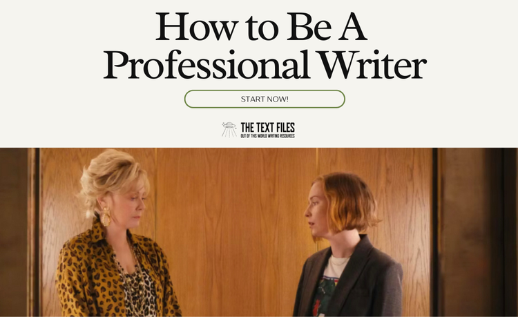 How To Be A Professional Writer — THE TEXT FILES