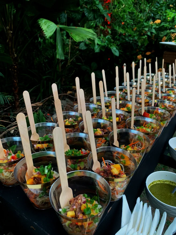 Catering — Vasaqa Fiji