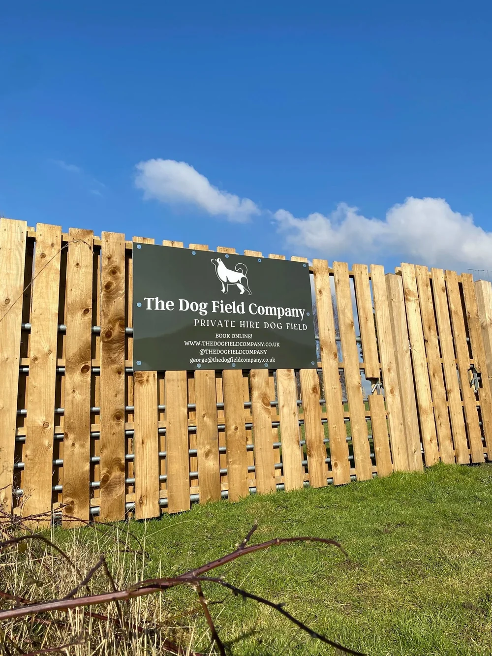 The Dog Field Company