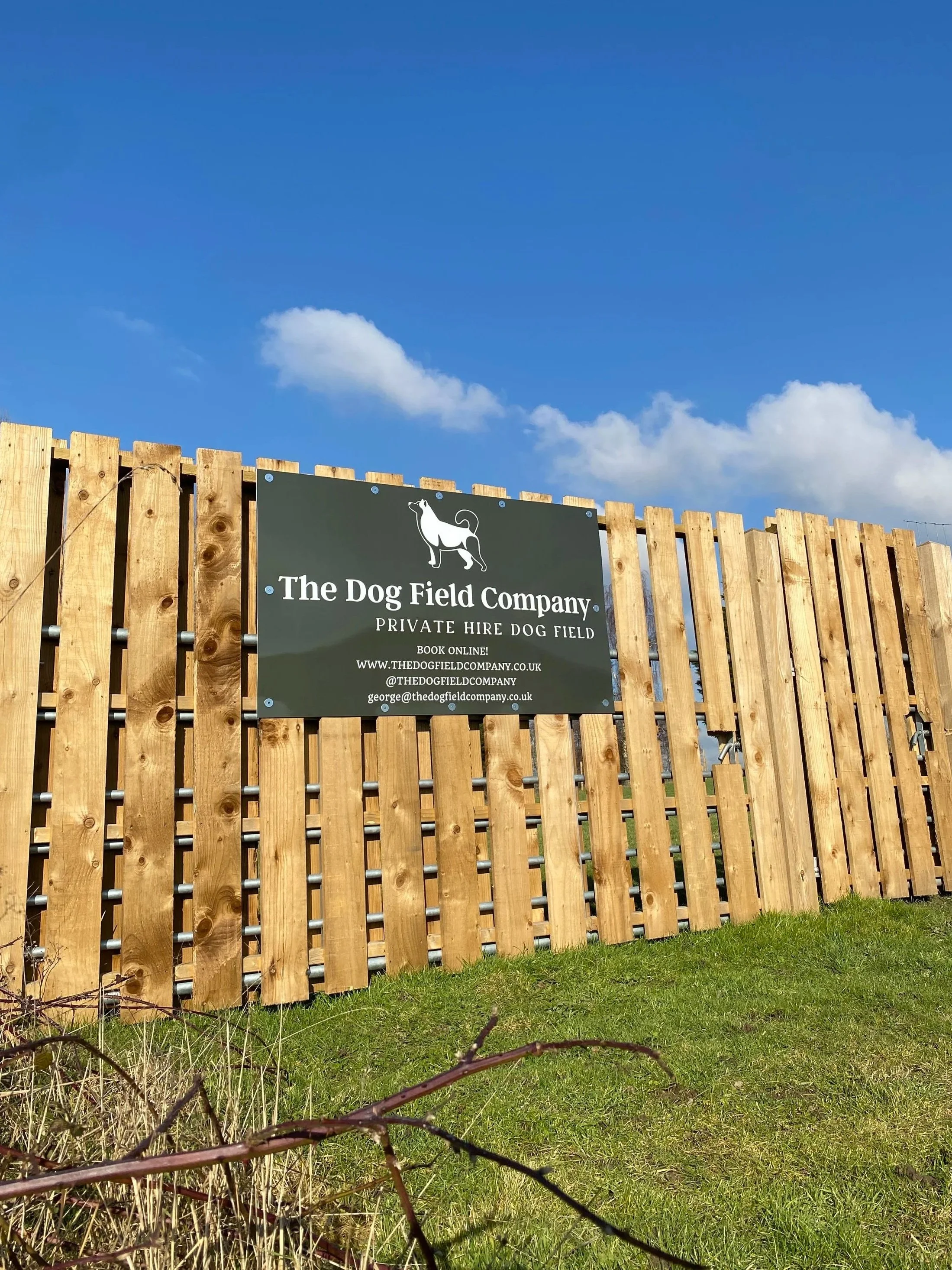 The Dog Field Company