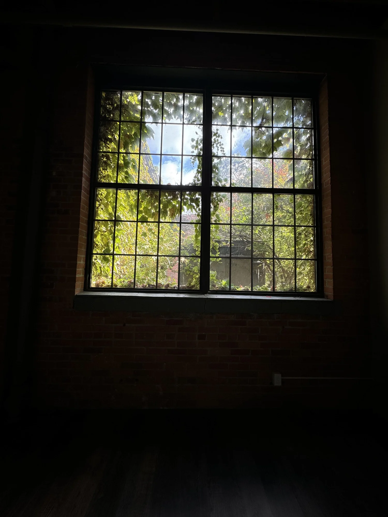 Live — Modern Tool Square