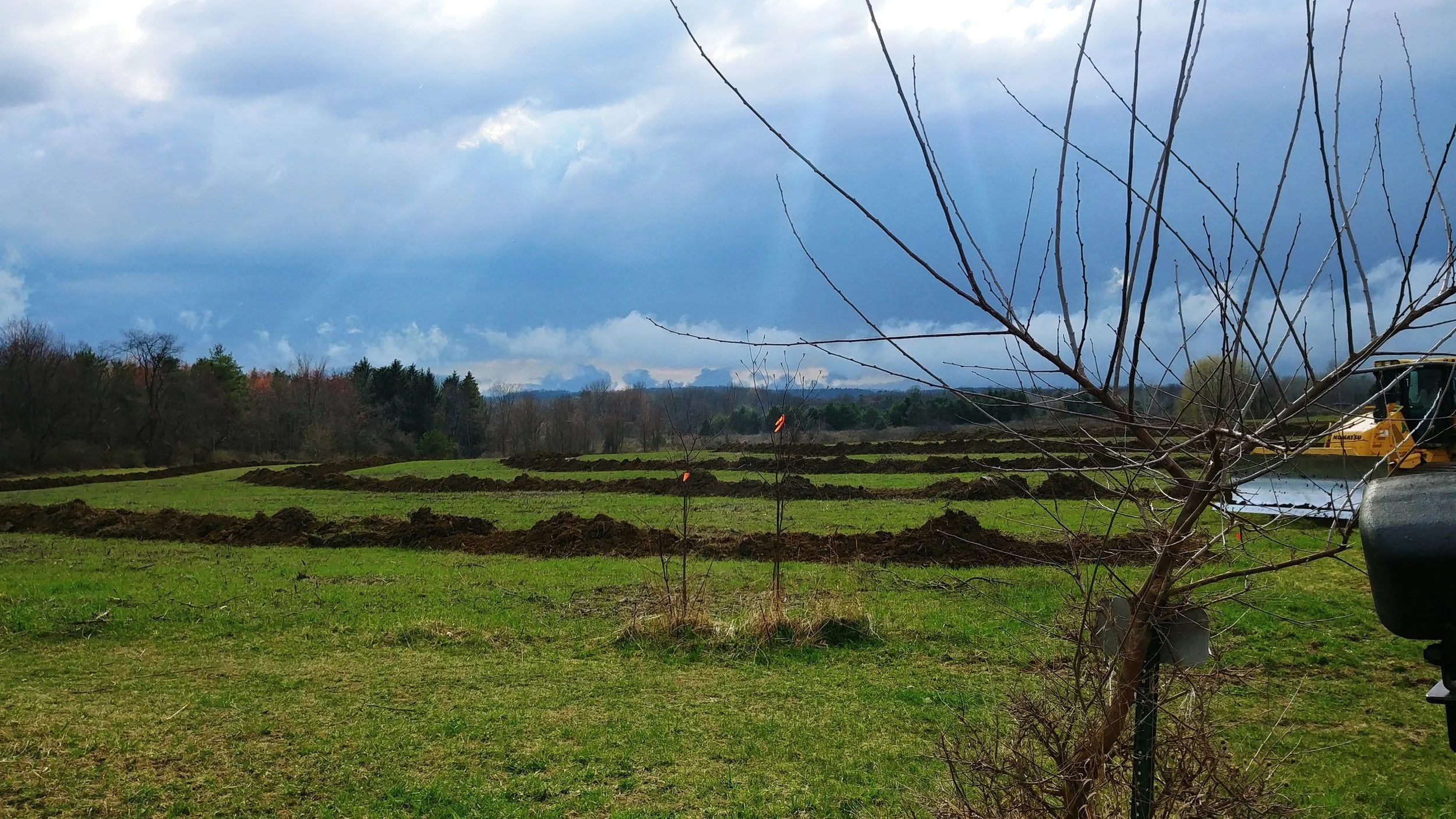 Restoration Agriculture Development