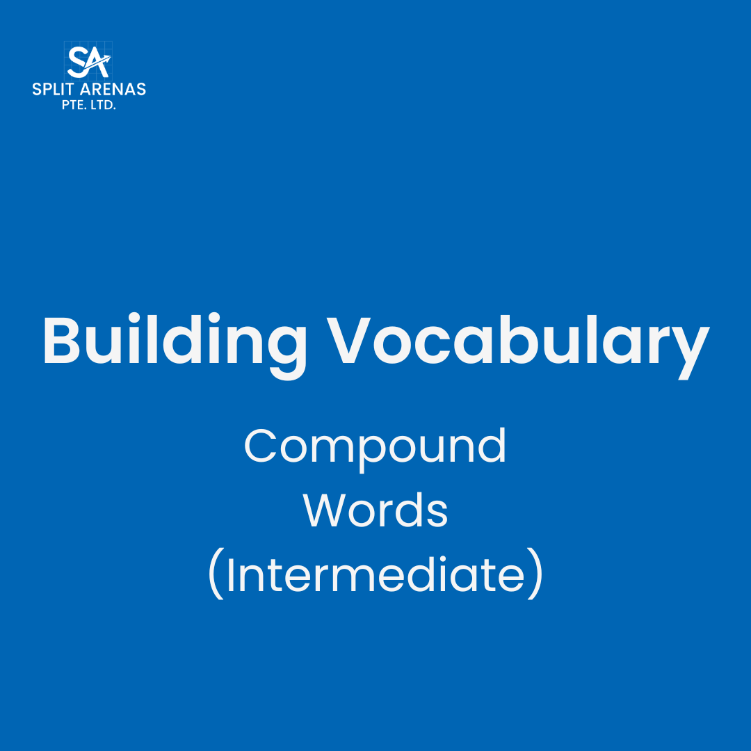 Building Vocabulary Worksheet - Word Formation (Beginner) — Split ...