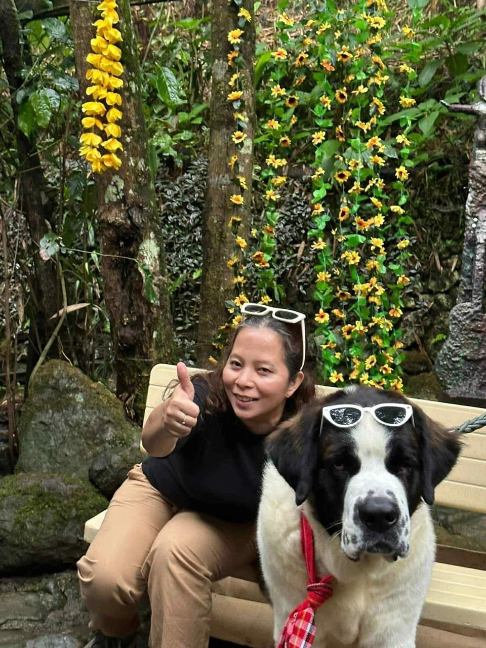 What does “Balance” mean for Ivy? — Split Arenas Pte. Ltd.