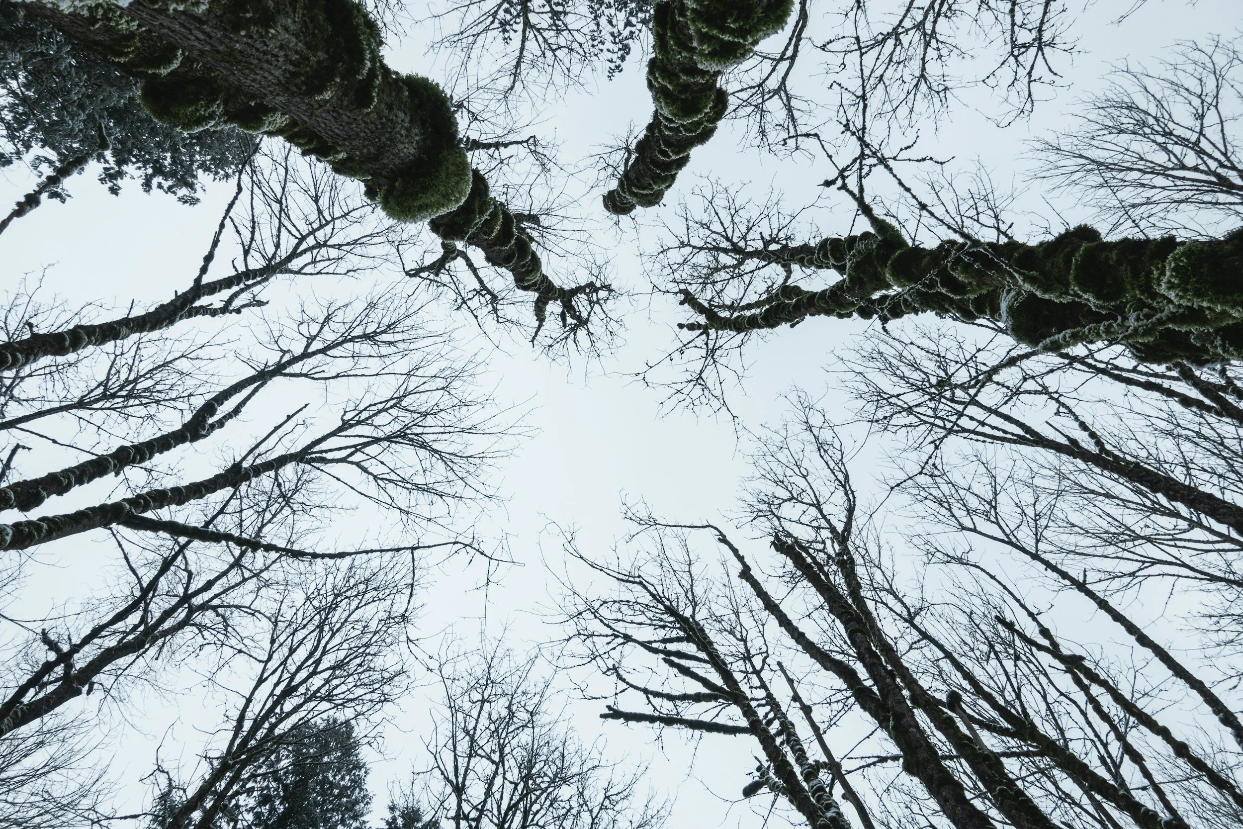 Mastering Aperture: Achieving Creative Control and Visual Impact in ...