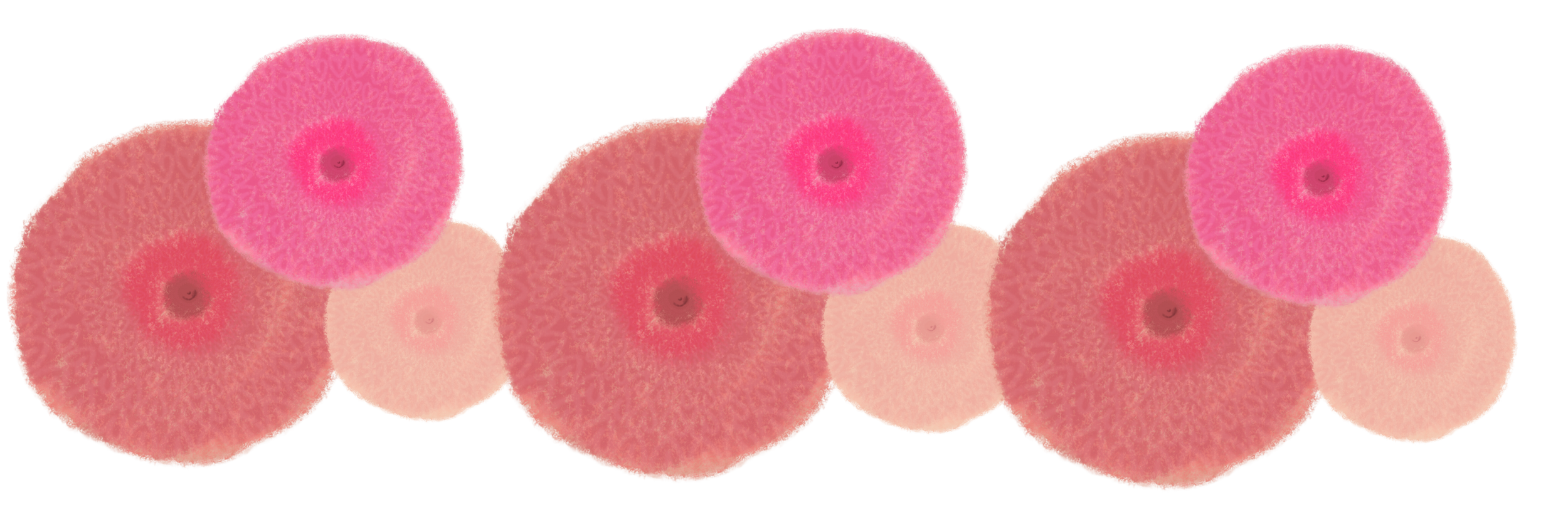 Find It Early Act — Breast Cancer Early Detection Coalition