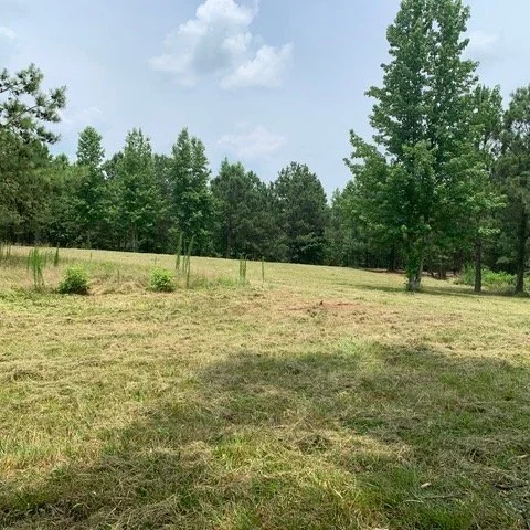 Our History — Circle Ranch