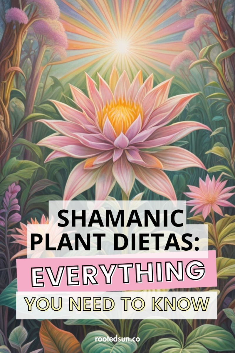Shamanic Plant Dietas: Everything You Need to Know — Rooted Sun