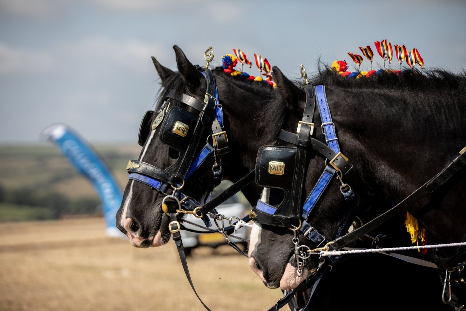 Ploughing match — https://www.laughtonagriculturalsociety.com/