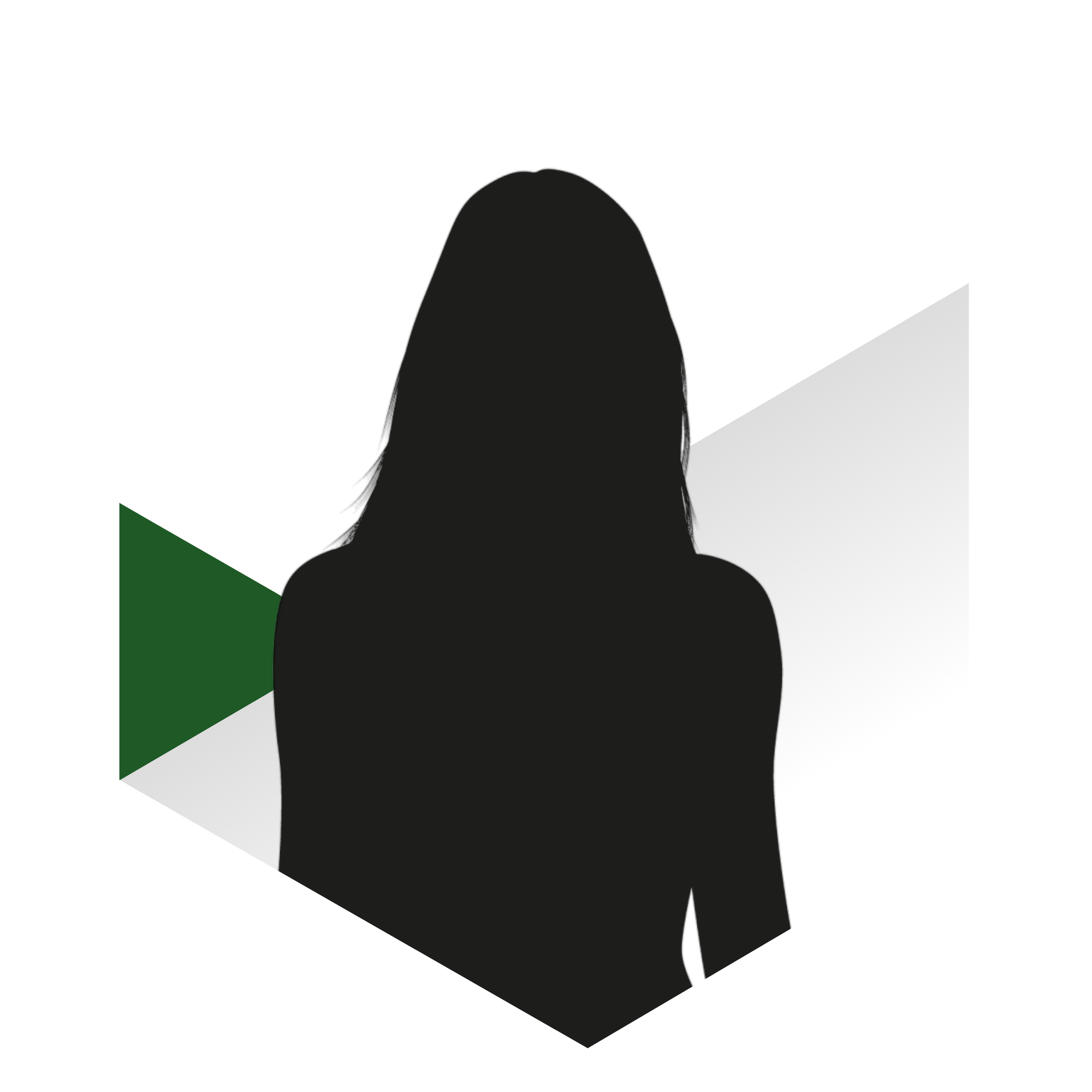 Zev Bergman — Taylor Mergui | Personal Injury Lawyers