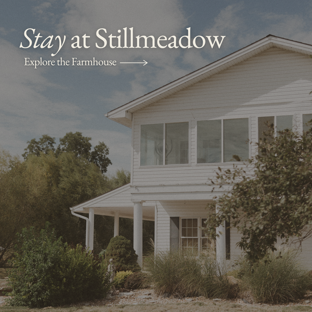 Stillmeadow