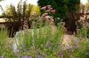 Xeriscaping Specialists in Boulder County, Colorado — Boulder Landscape ...