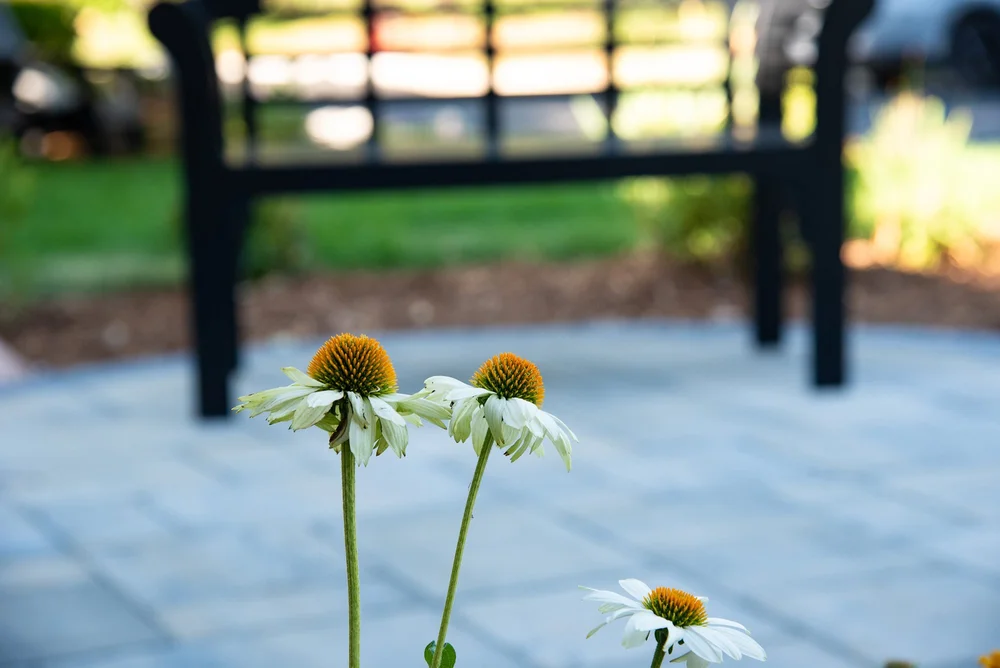 Your Landscape Questions Answered | Boulder Landscape & Design ...