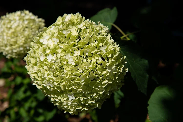About Us | Experts in Boulder, Colorado Landscaping — Boulder Landscape ...