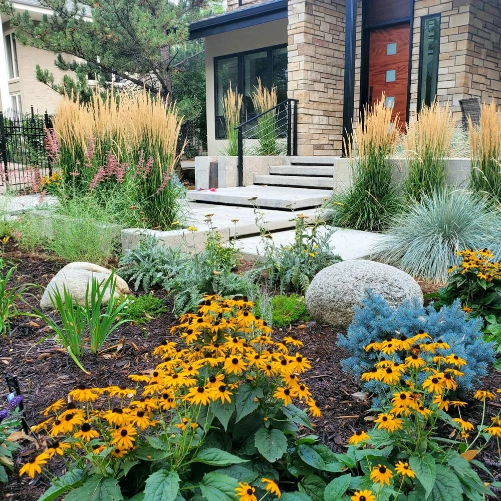 Xeriscaping Specialists in Boulder County, Colorado — Boulder Landscape ...