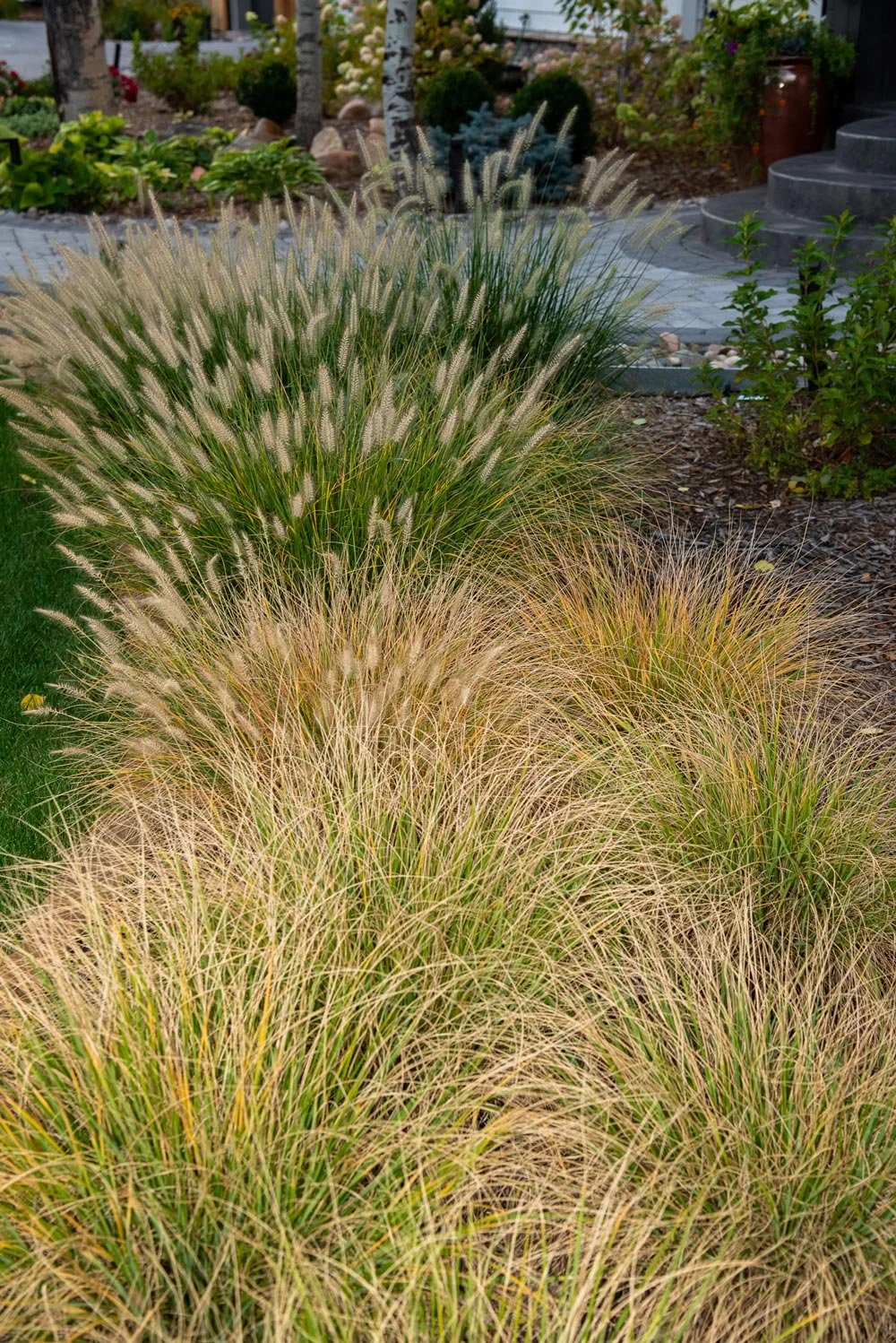 Xeriscaping Specialists in Boulder County, Colorado — Boulder Landscape ...