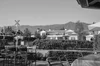 Visit Montecito