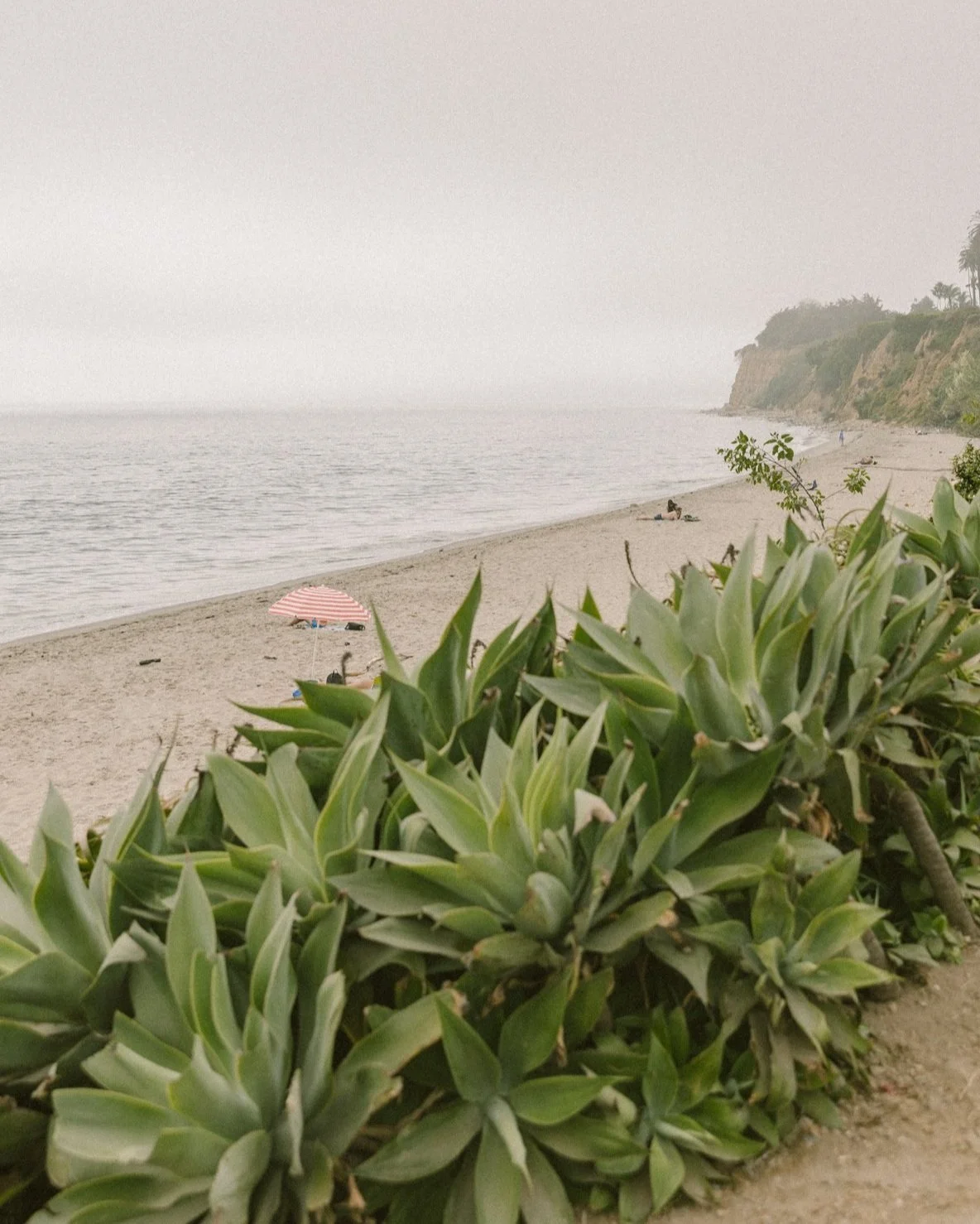 Visit Montecito