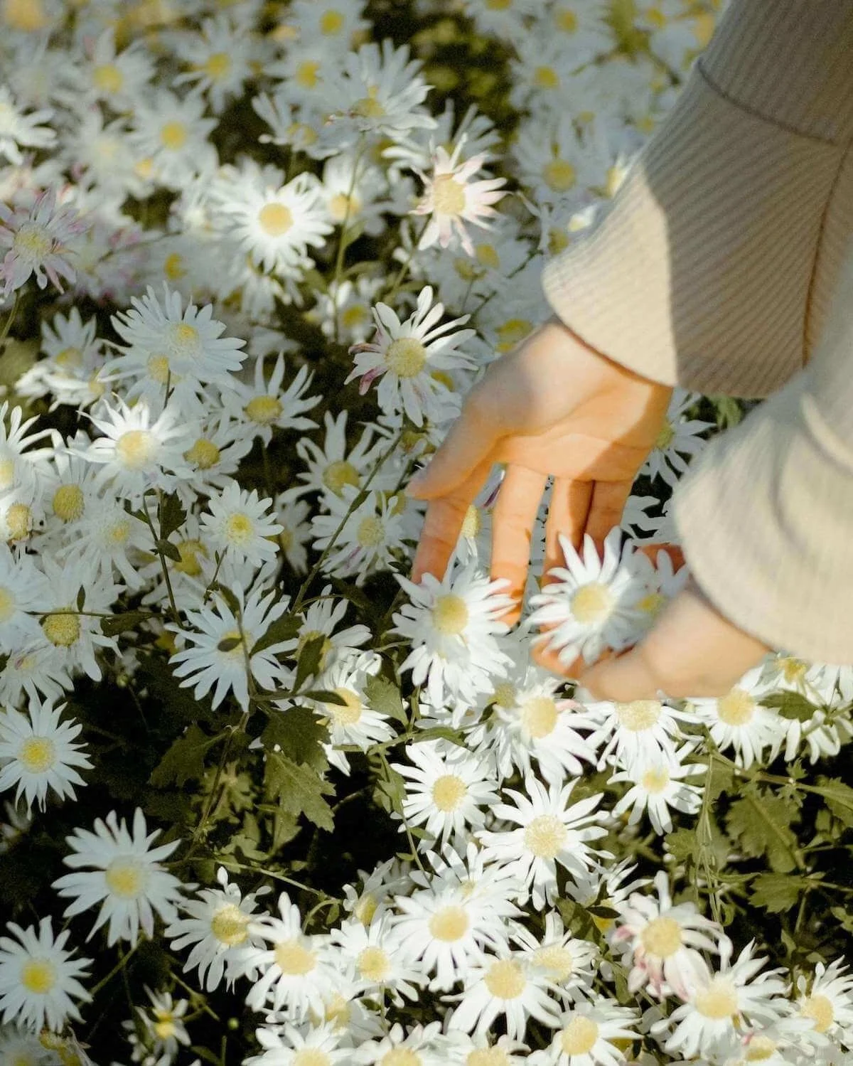 Holistic Health Boulder | A Healing Space for Women’s Health