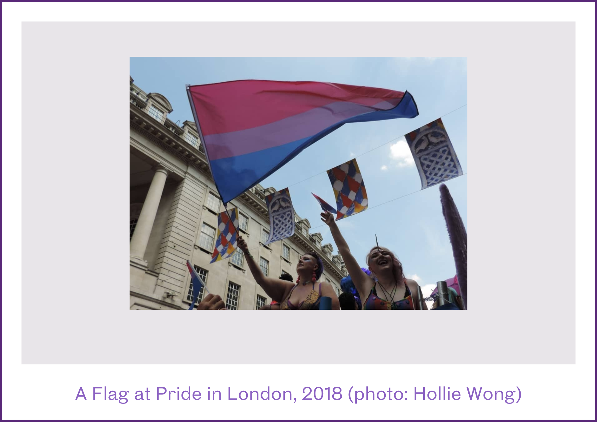 A Potted History of the Bi Pride Flag — Biscuit: Advocacy, Community ...