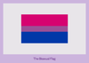 Bi+ Symbols Throughout History — Biscuit: Advocacy, Community and ...