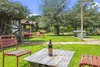 About | Visit Today – Experience the Vineyards — Rowdy Creek Ranch ...