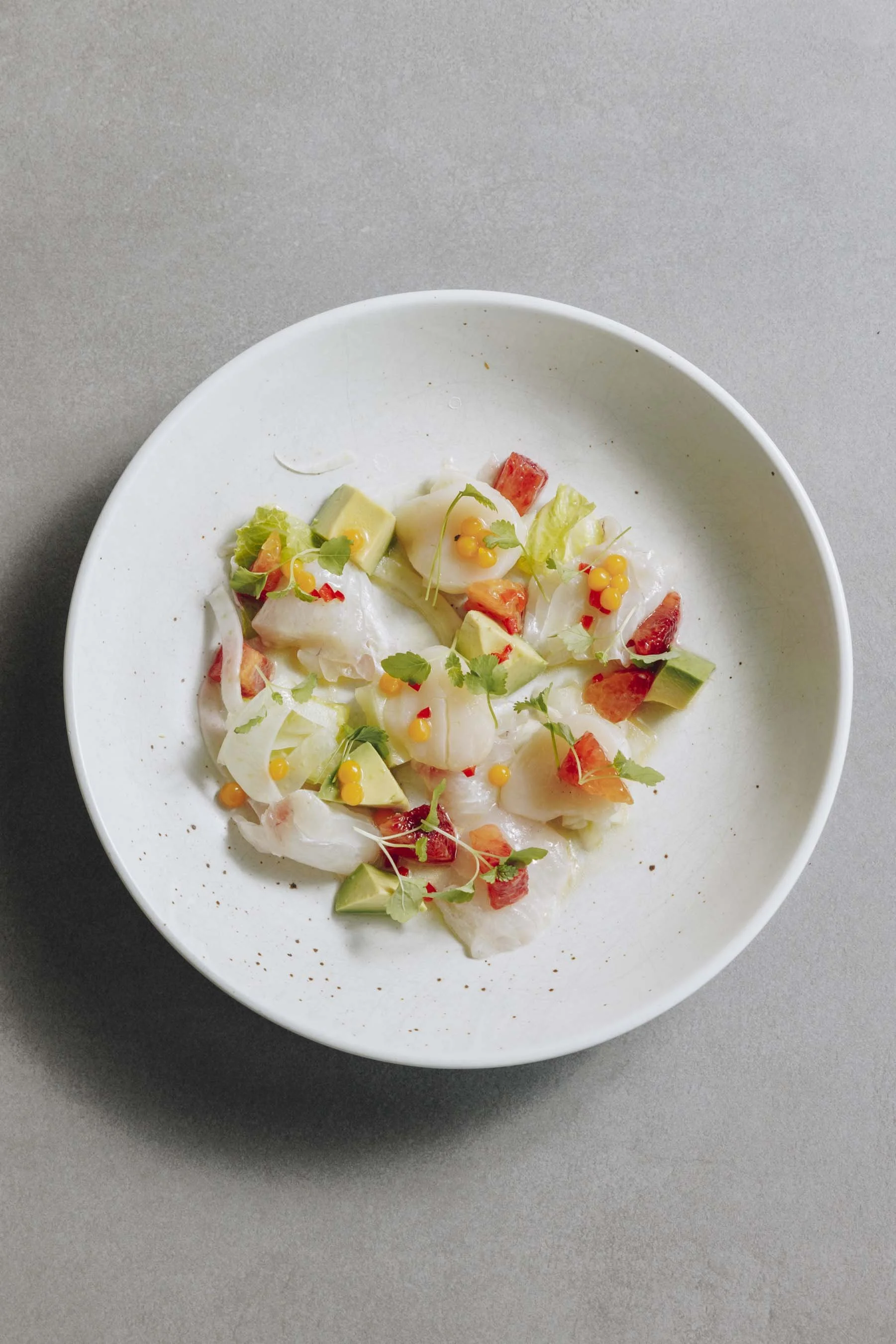 Gallery — Swells Terrigal