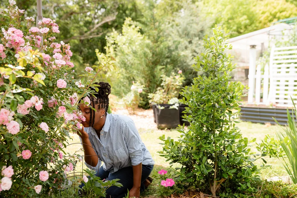 Dearest Garden | Gardening, Creating & Quiet Moments.