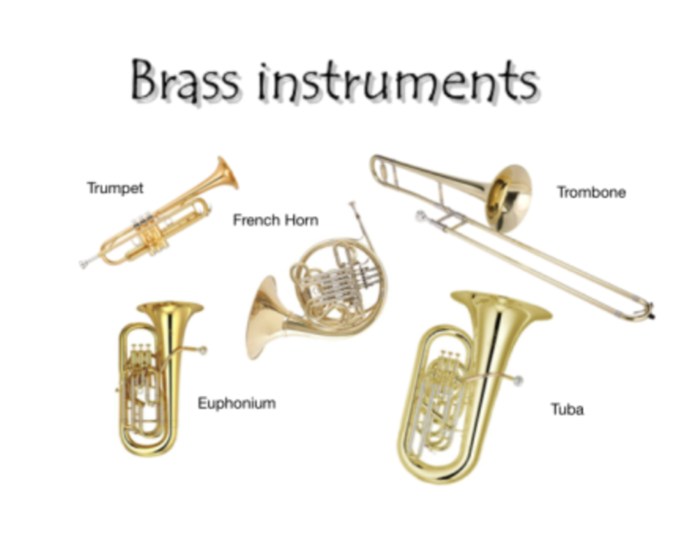 3.1 Brass Instrument Family — Pedagogy for Winds and Brass