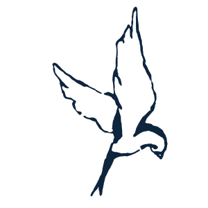 Remi - A Dreamy Event Space