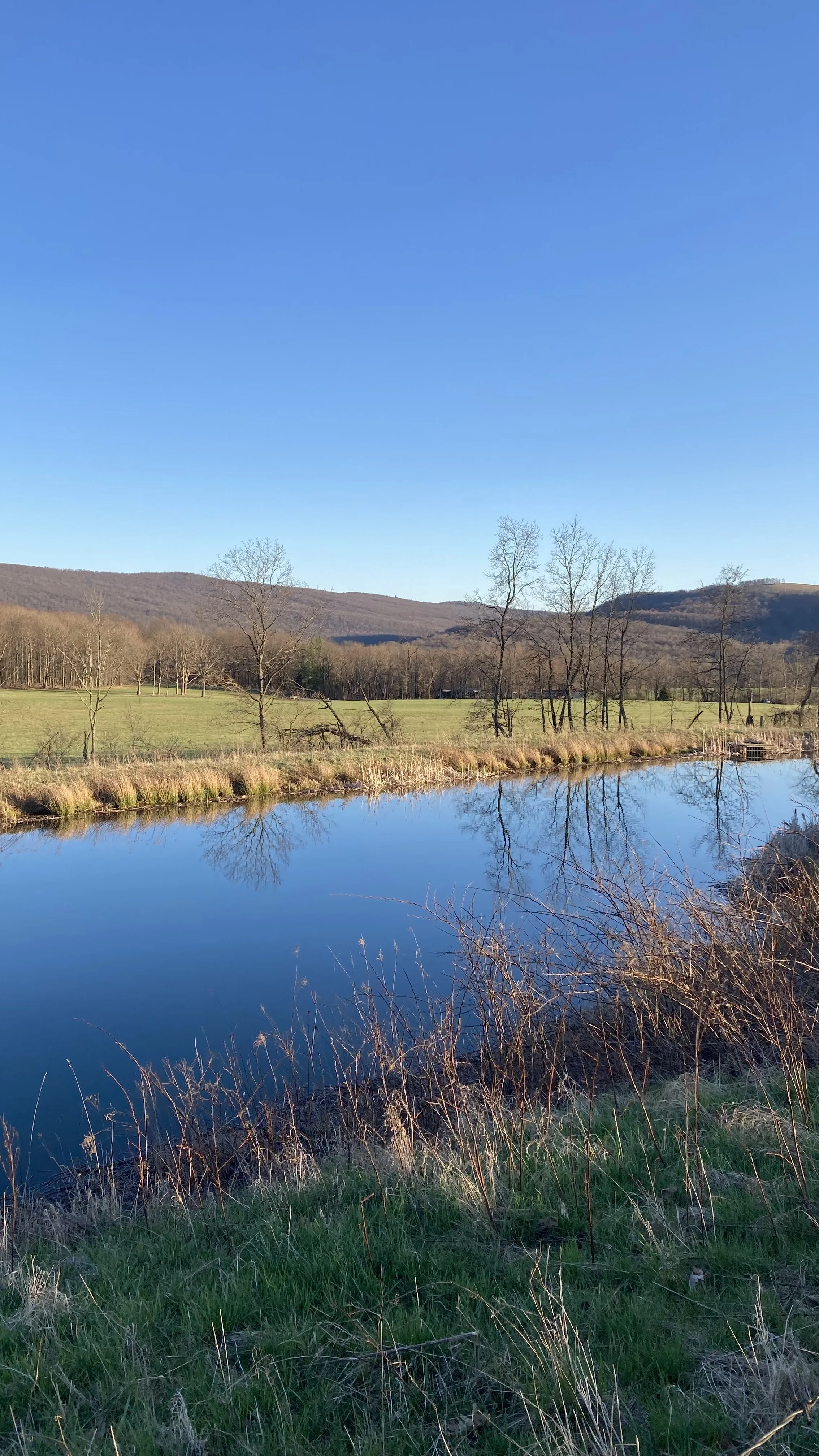 Practices | Innovative Agriculture — Leaning Pine Farm