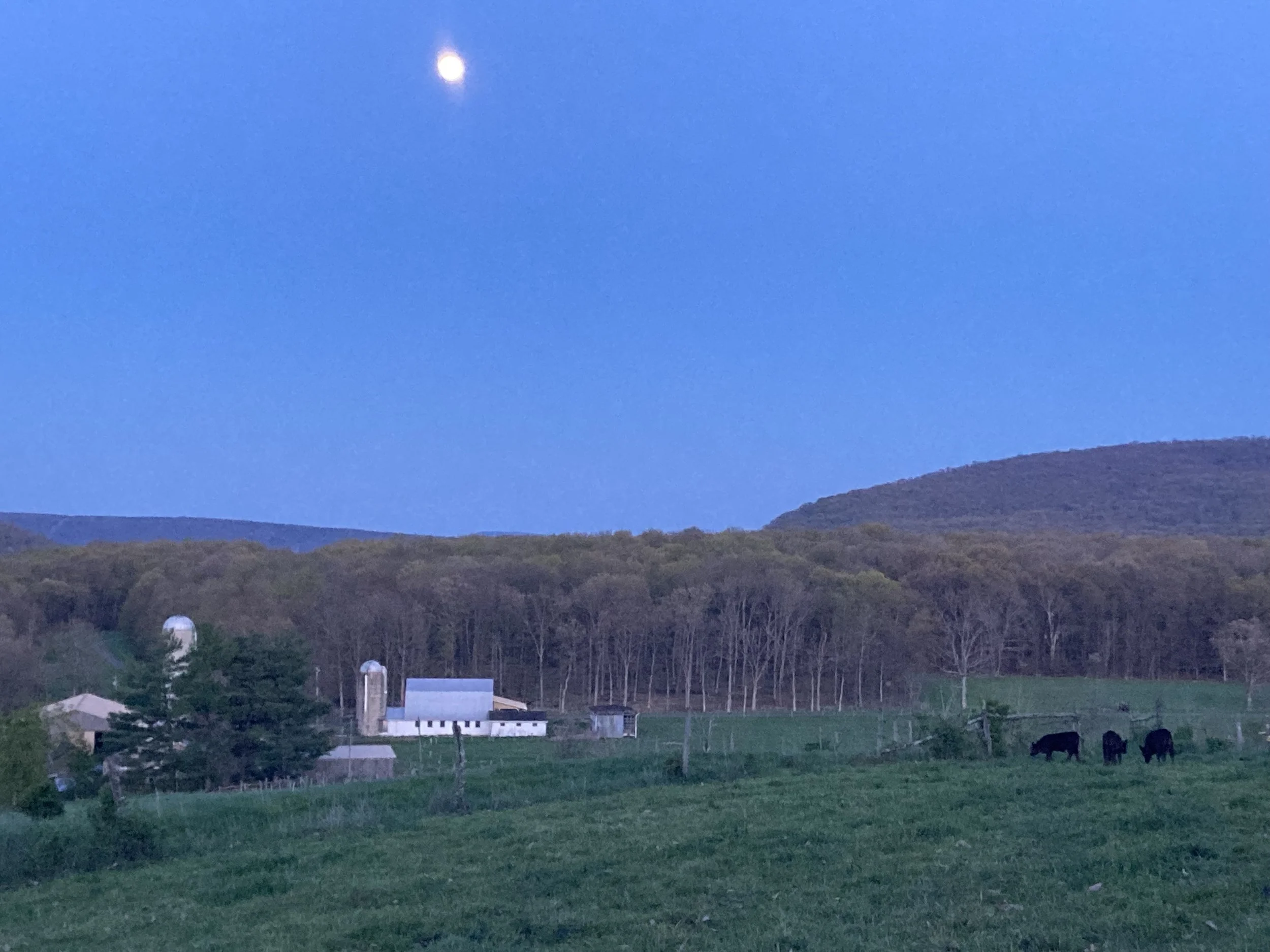 About | Family-Owned & Operated — Leaning Pine Farm