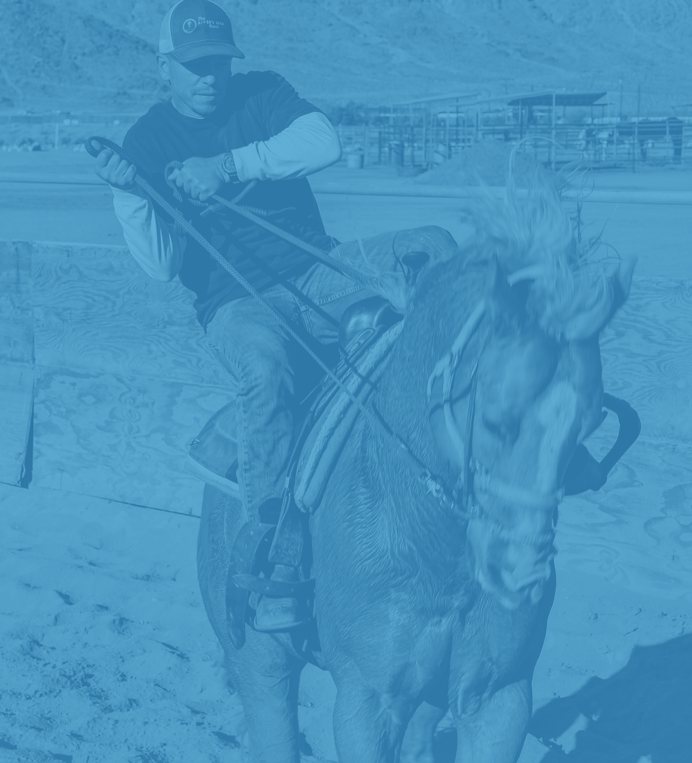 Our Program — The River's Edge Ranch