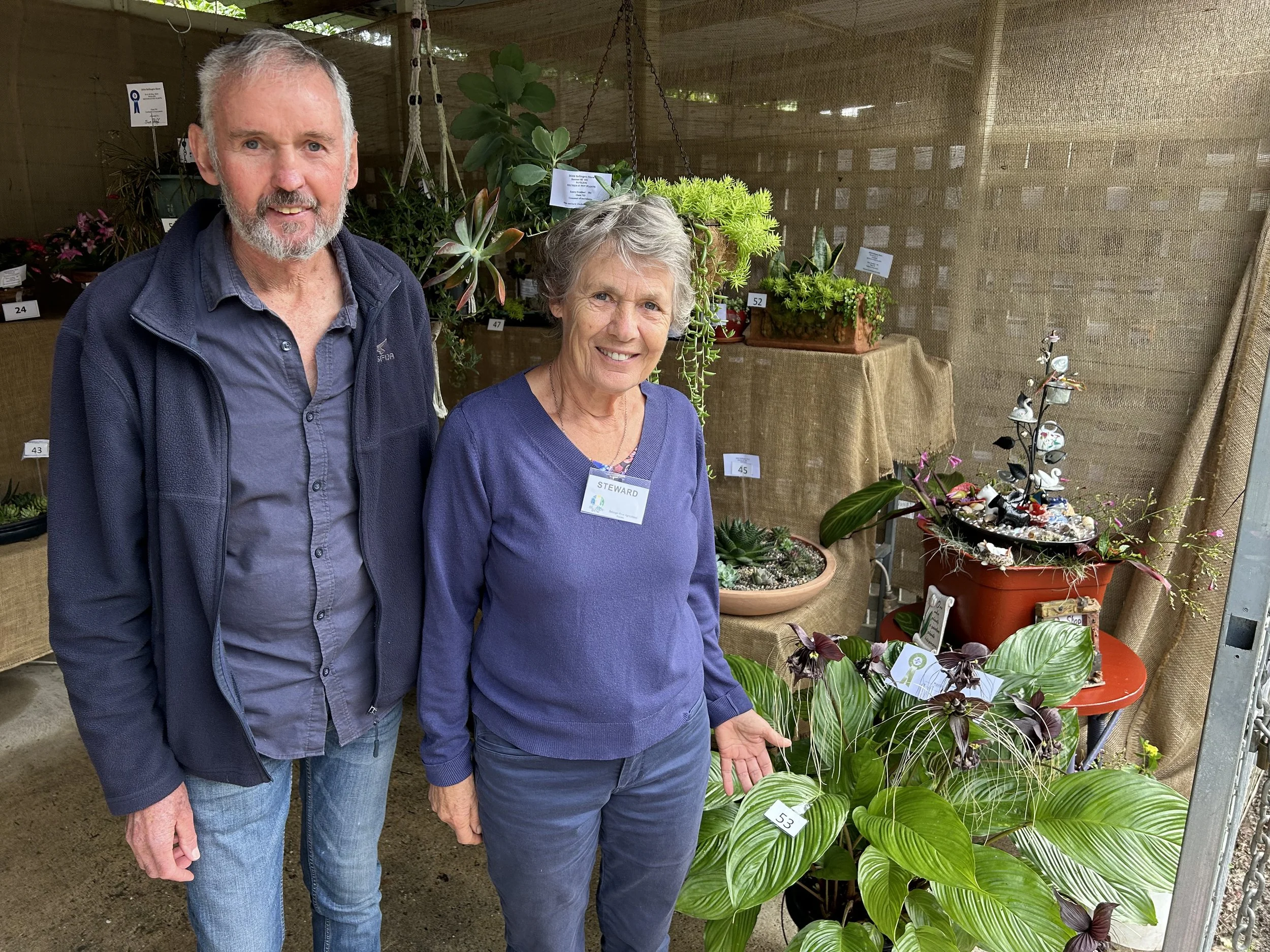 Bellingen Show