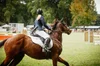 Bellingen Show