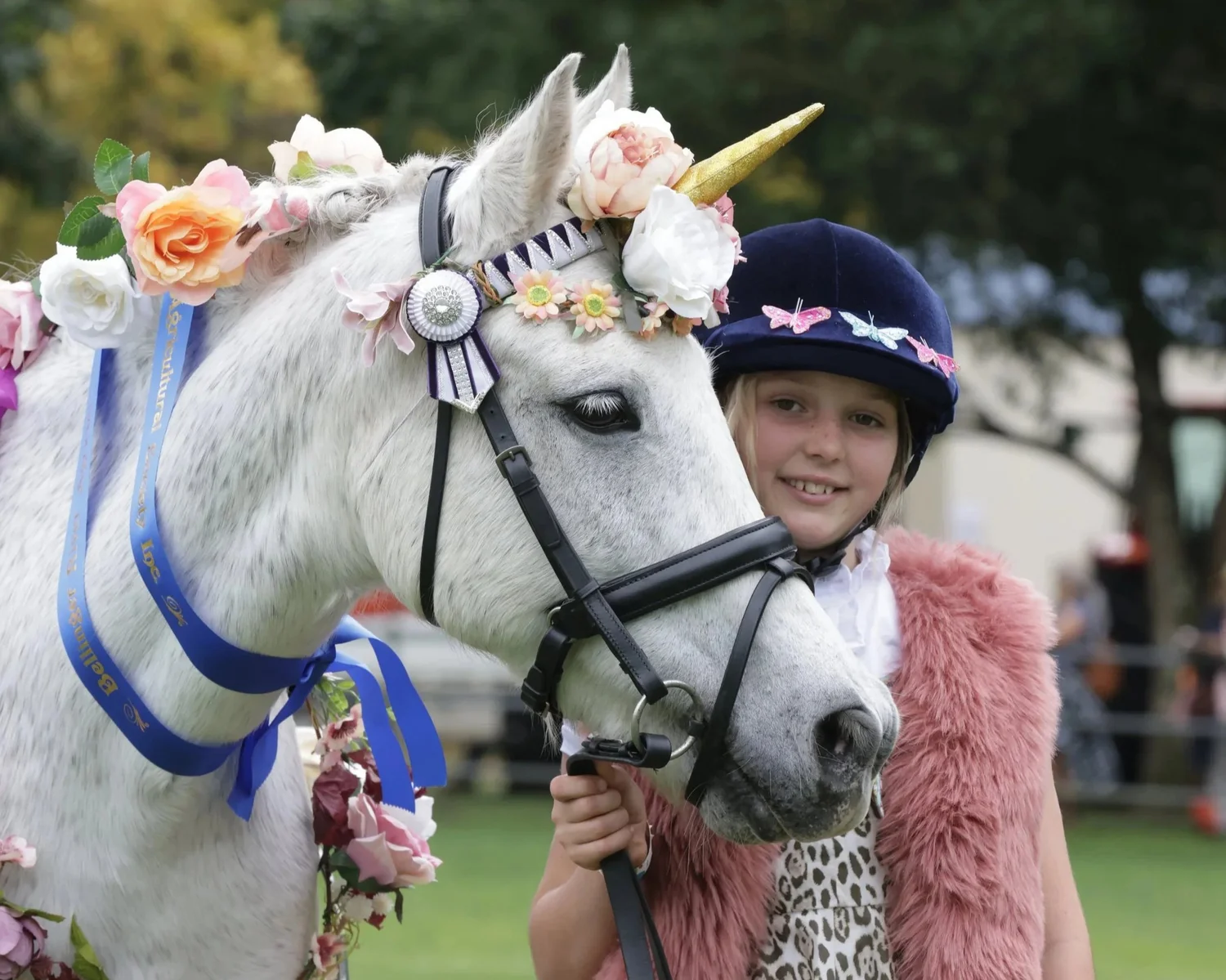 Bellingen Show