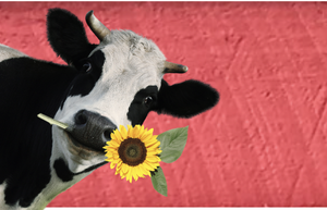 TheArtBarn Virtual Farm Field Trips for Everyone | Discover Farm Fun Today
