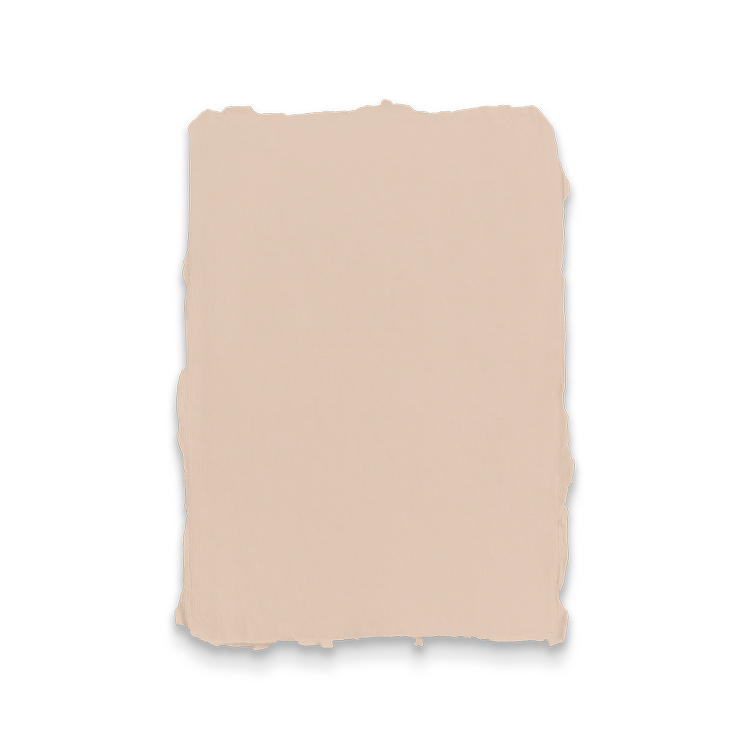 Invitations Ordering Guide | Sal Studios