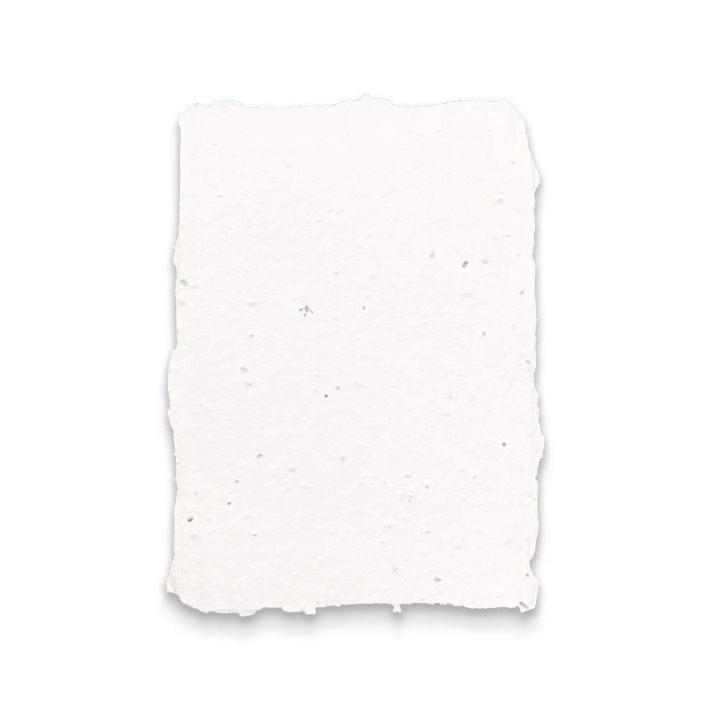 Invitations Ordering Guide | Sal Studios