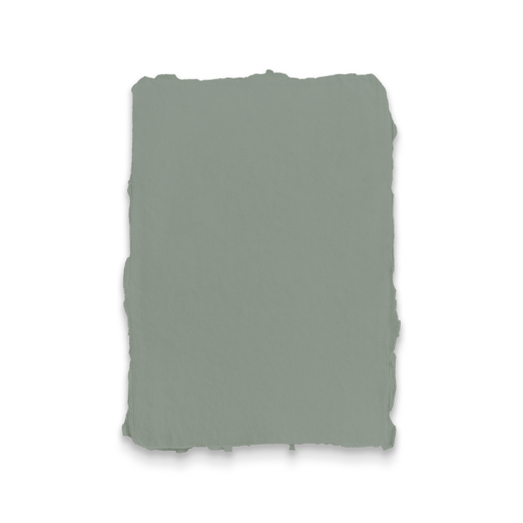 Invitations Ordering Guide | Sal Studios