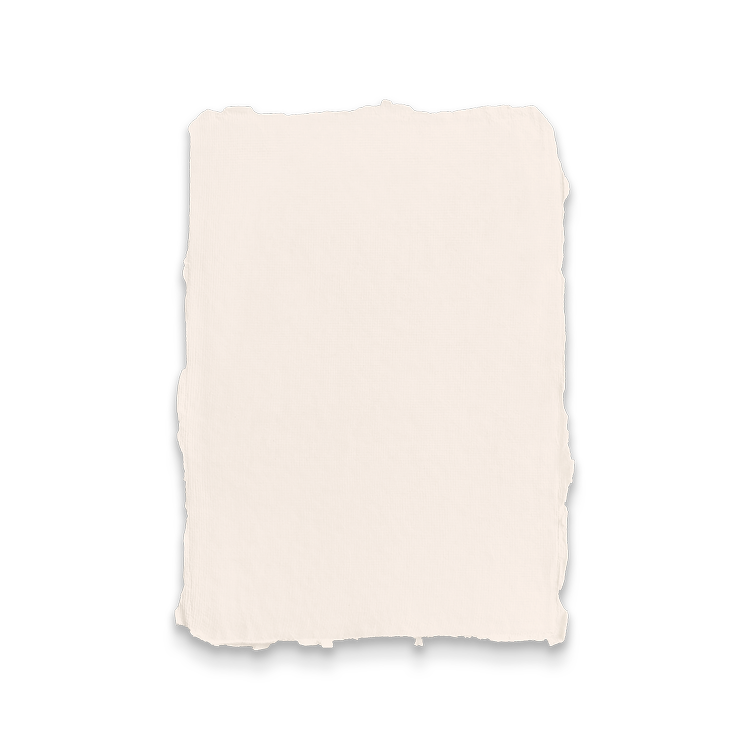 Invitations Ordering Guide | Sal Studios