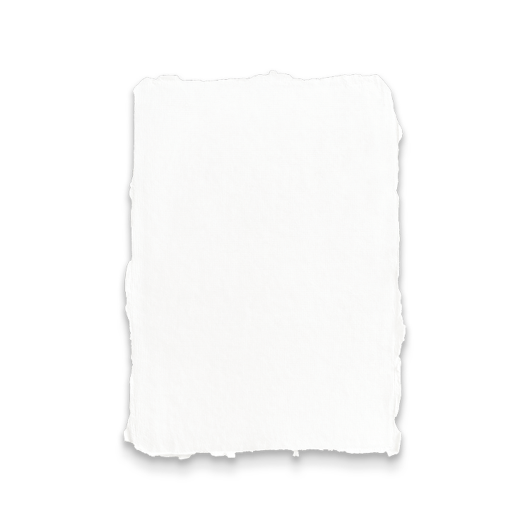 Invitations Ordering Guide | Sal Studios