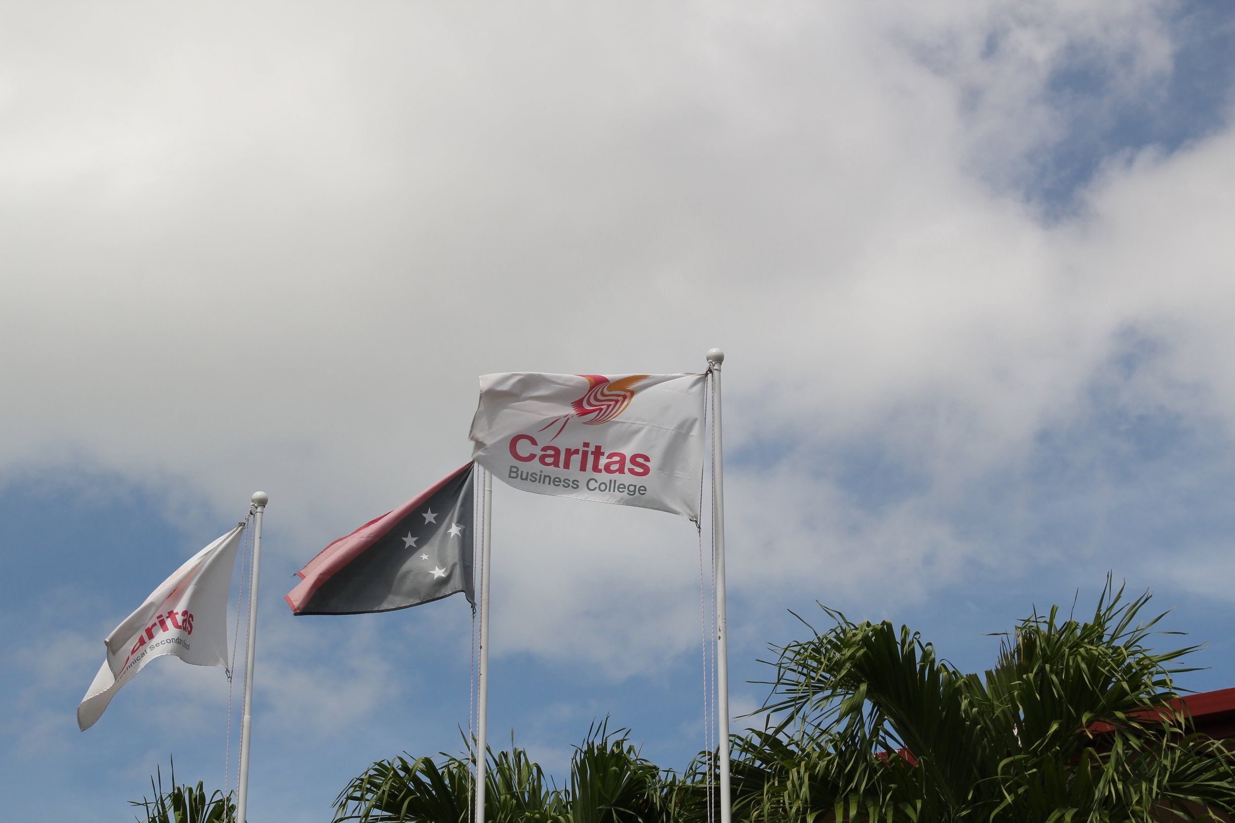 Caritas Schools