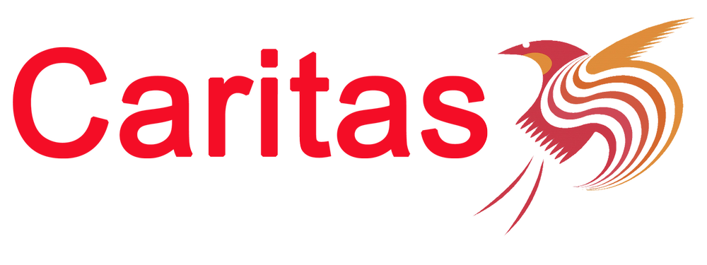 Admissions Process — Caritas Schools