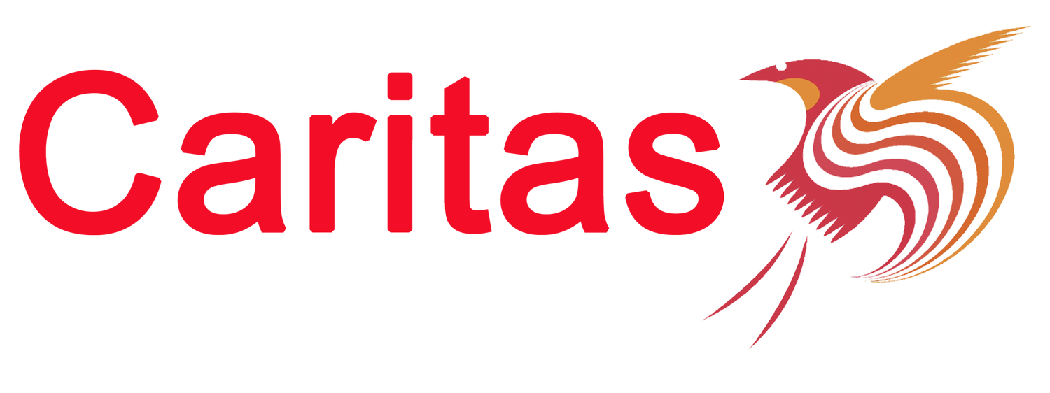 Admissions Process — Caritas Schools